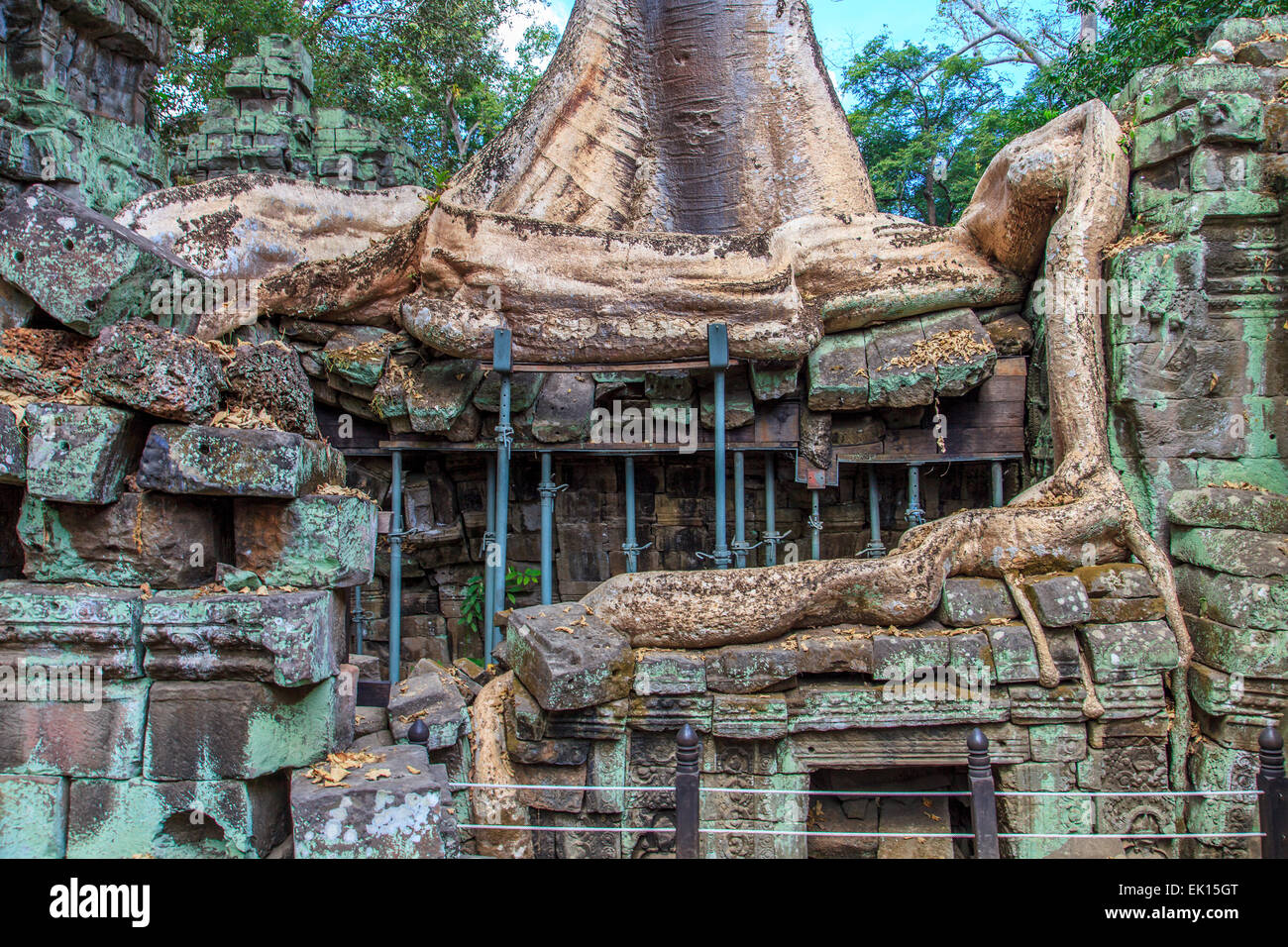 Cambodia jungle tree roots temple hi-res stock photography and images ...