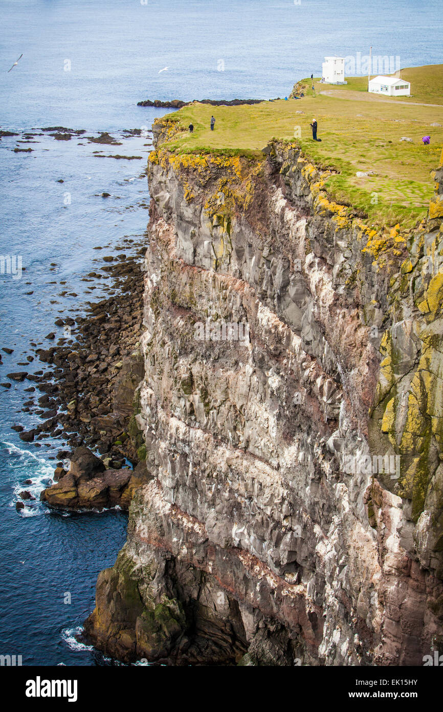 The Latrabjarg cliffs in the Westfjords of Iceland where the Puffin ...