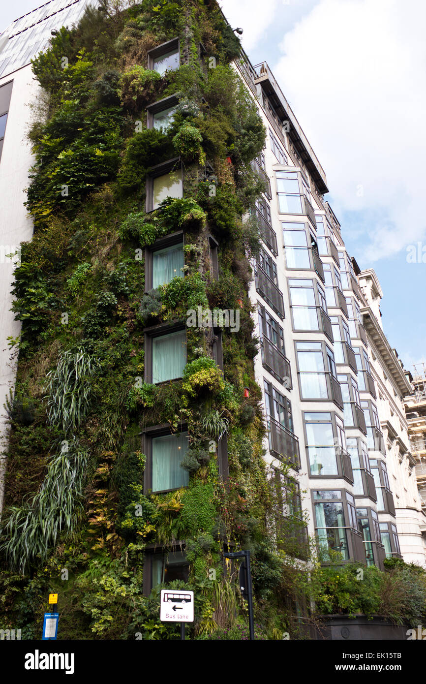 Mayfair,London,one of the most expensive areas in the world,Residential ...