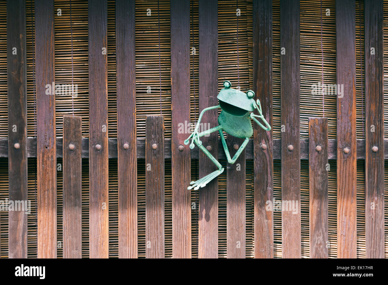 Frog fence hi-res stock photography and images - Alamy