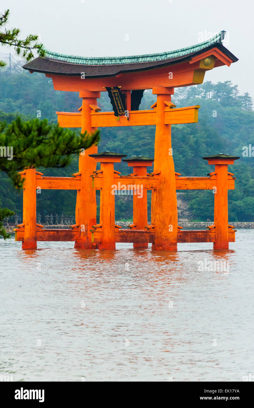 Torii Gate of Itsukushima Shrine in morning mist, Miyajima, Japan Stock ...