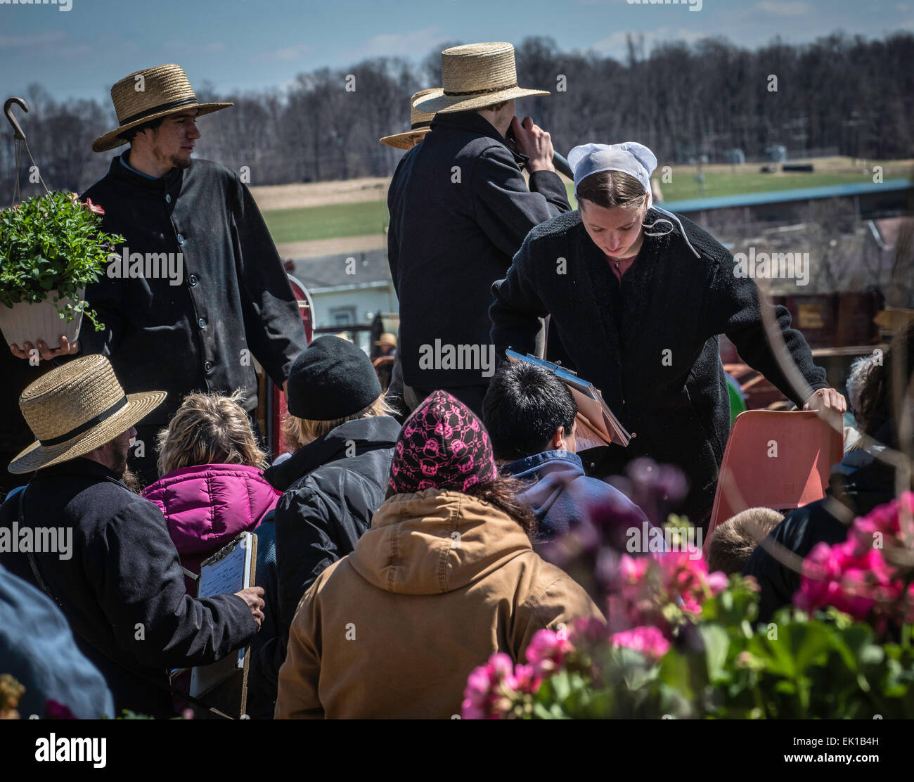 Lancaster, Pennsylvania, USA. 03rd Apr, 2015. Amish Mud Sale, held ...