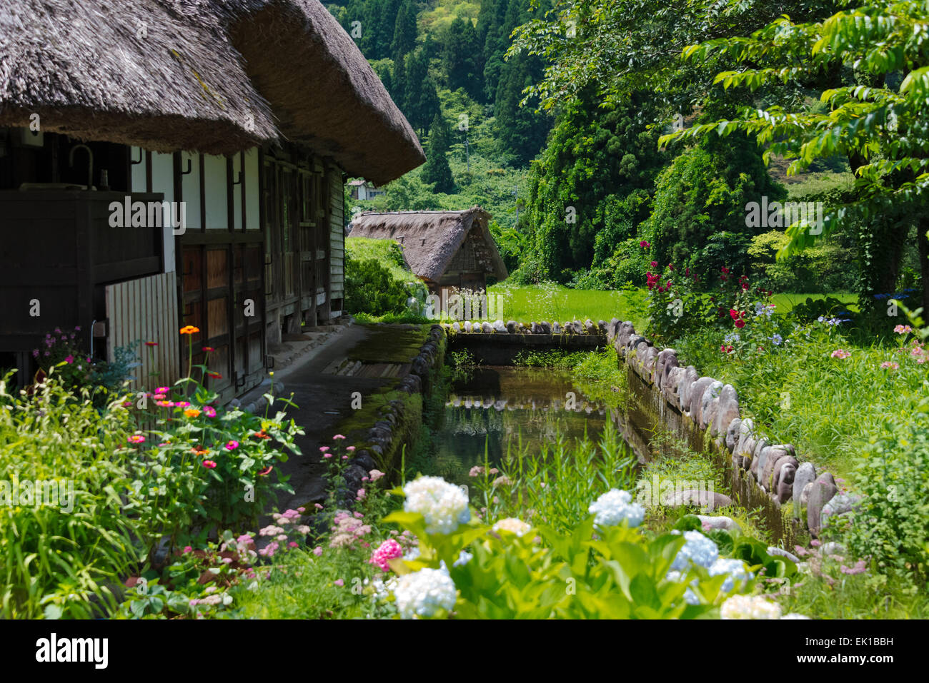 Gassho-zukuri houses in the mountain, Suganuma Village, Gokayama ...