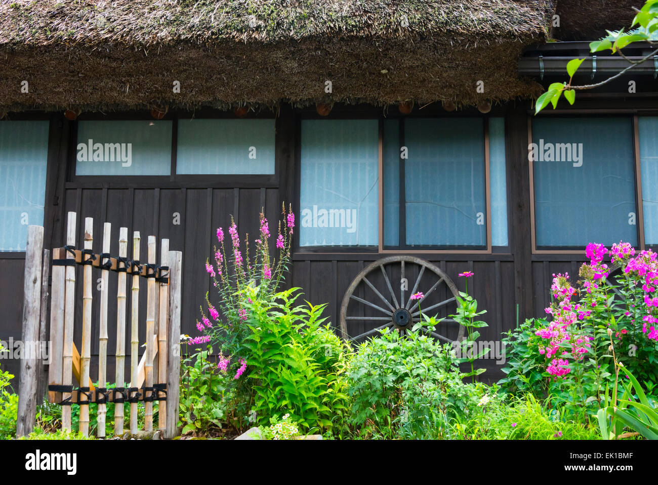 Gassho-zukuri house in the mountain, Shirakawa-go, Gifu Prefecture ...