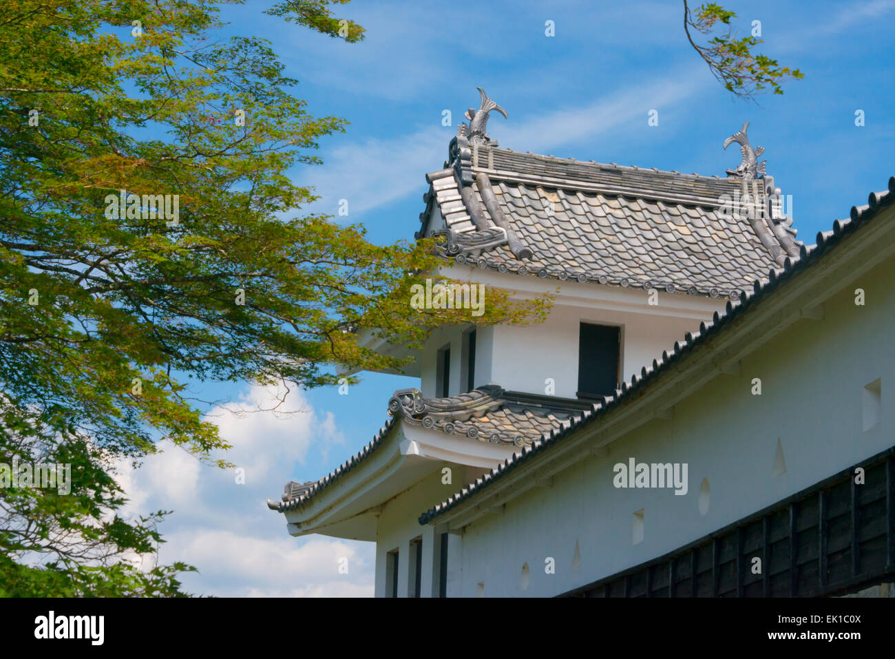 Gujo Hachiman Castle, Gifu Prefecture, Japan Stock Photo - Alamy