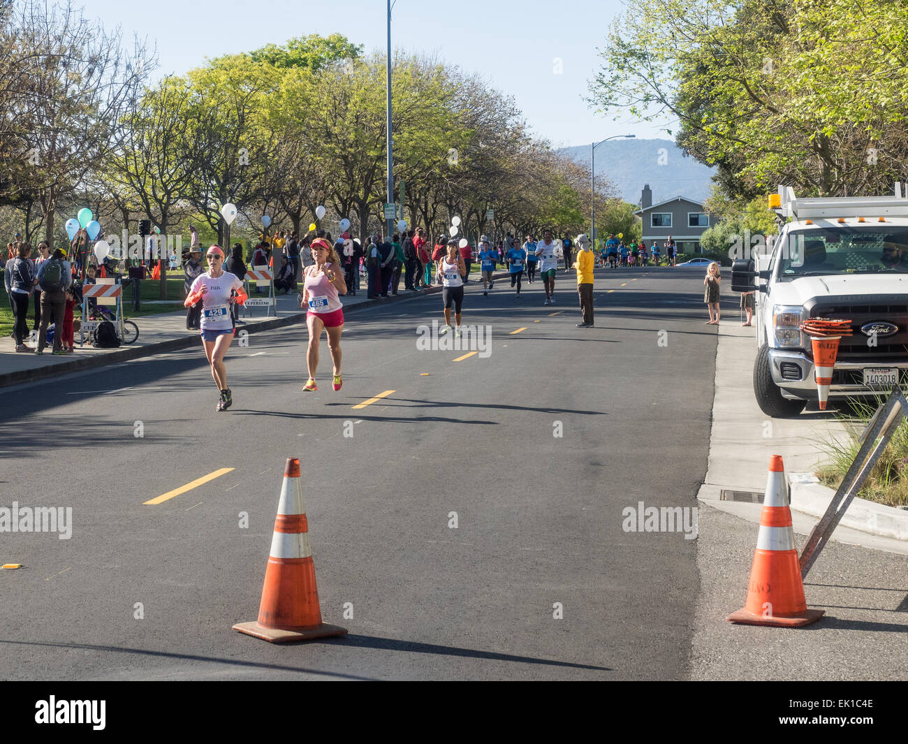 Big bunny hi-res stock photography and images - Alamy