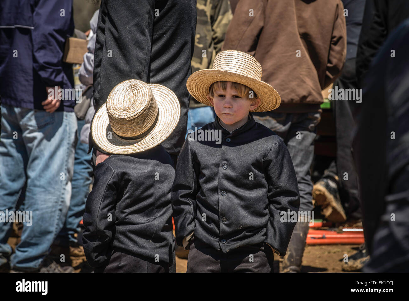 Lancaster, Pennsylvania, USA. 03rd Apr, 2015. Amish Mud Sale, held ...