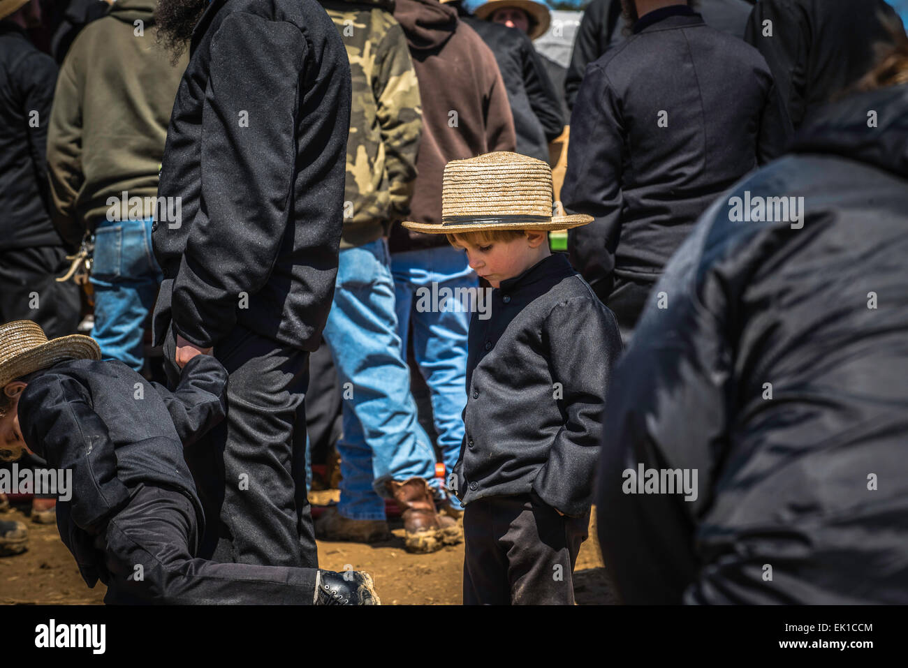 Lancaster, Pennsylvania, USA. 03rd Apr, 2015. Amish Mud Sale, held ...