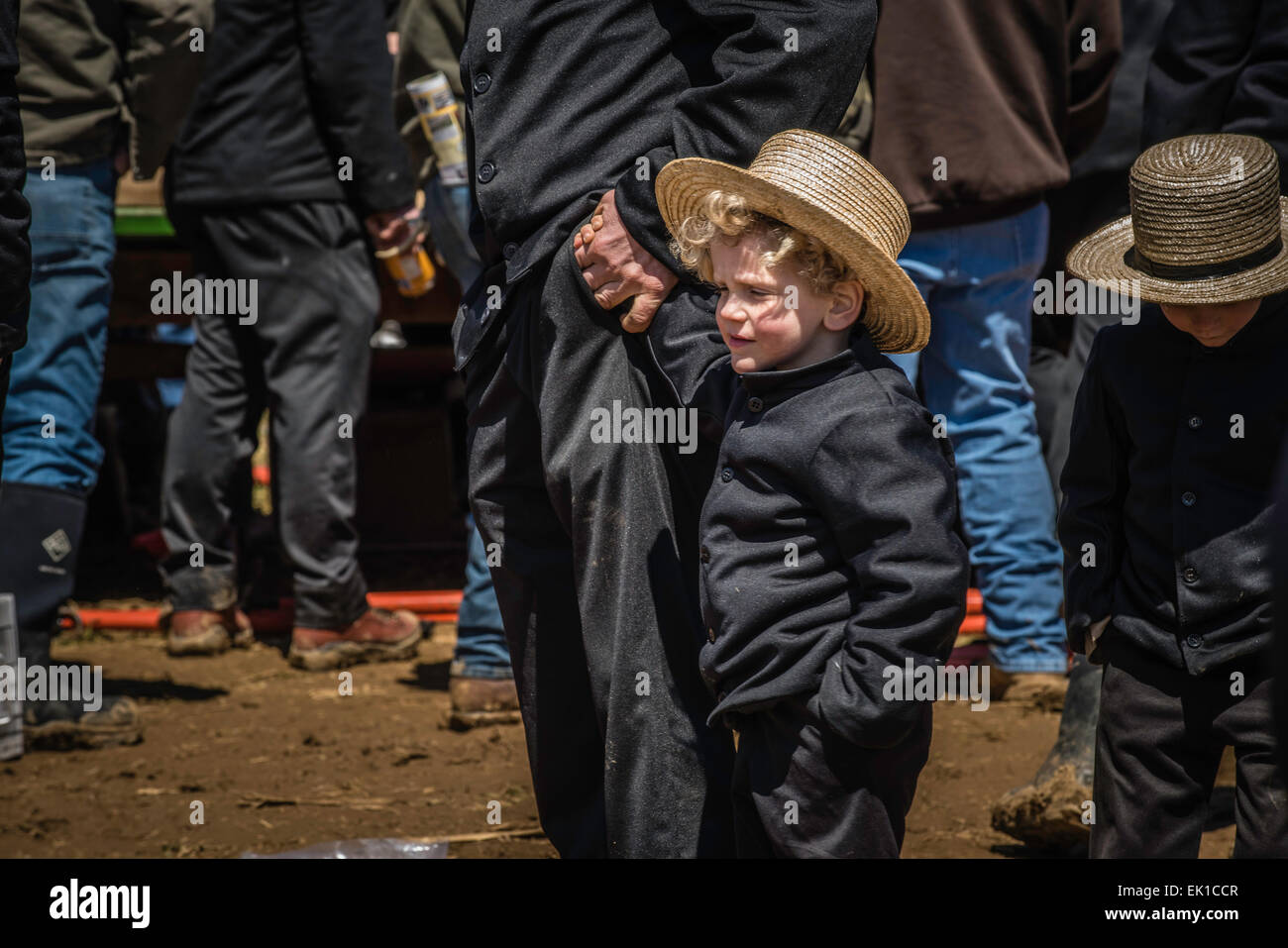 Lancaster, Pennsylvania, USA. 03rd Apr, 2015. Amish Mud Sale, held ...