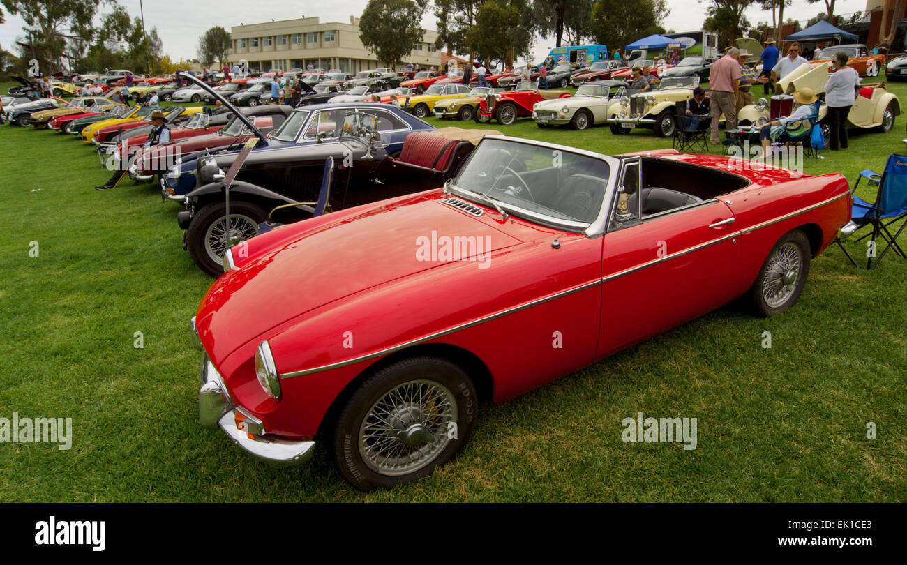 Show MG car club of SA Australia Stock Photo - Alamy