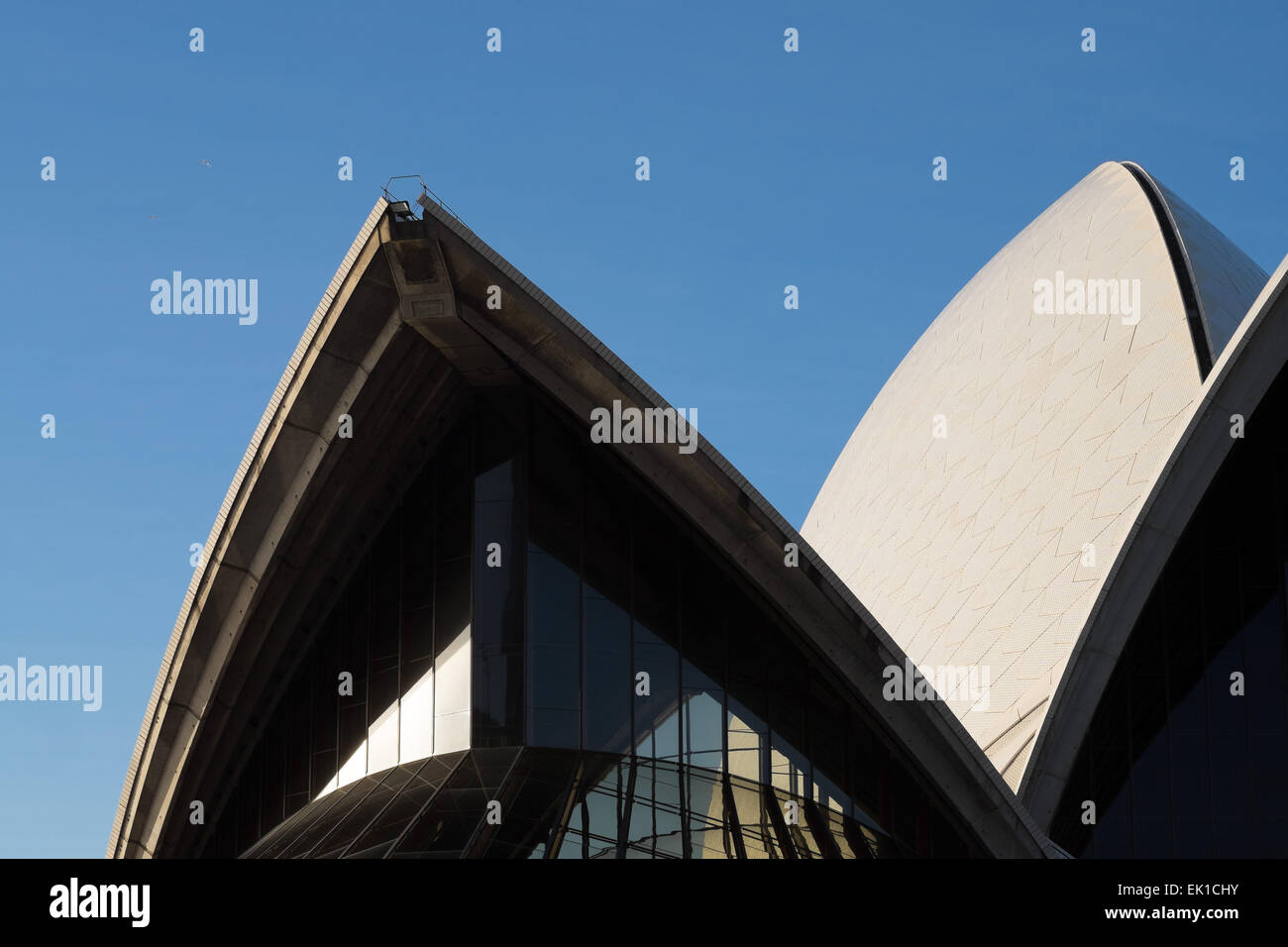 Detail photos of the Sydney Opera House, by architect Jørn Utzon Stock ...