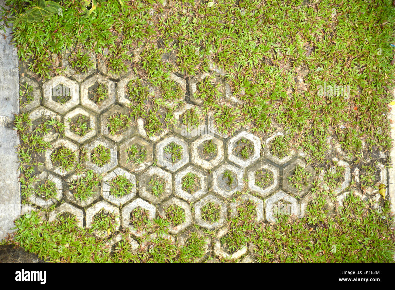 Brick octagonal walkway pavement texture hi-res stock photography and ...