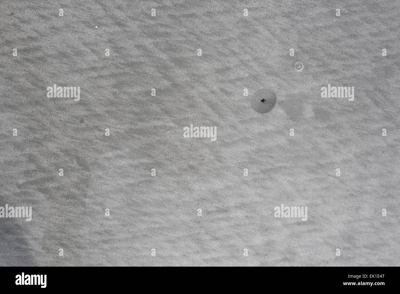 Seamless solid beach sand background Stock Photo - Alamy