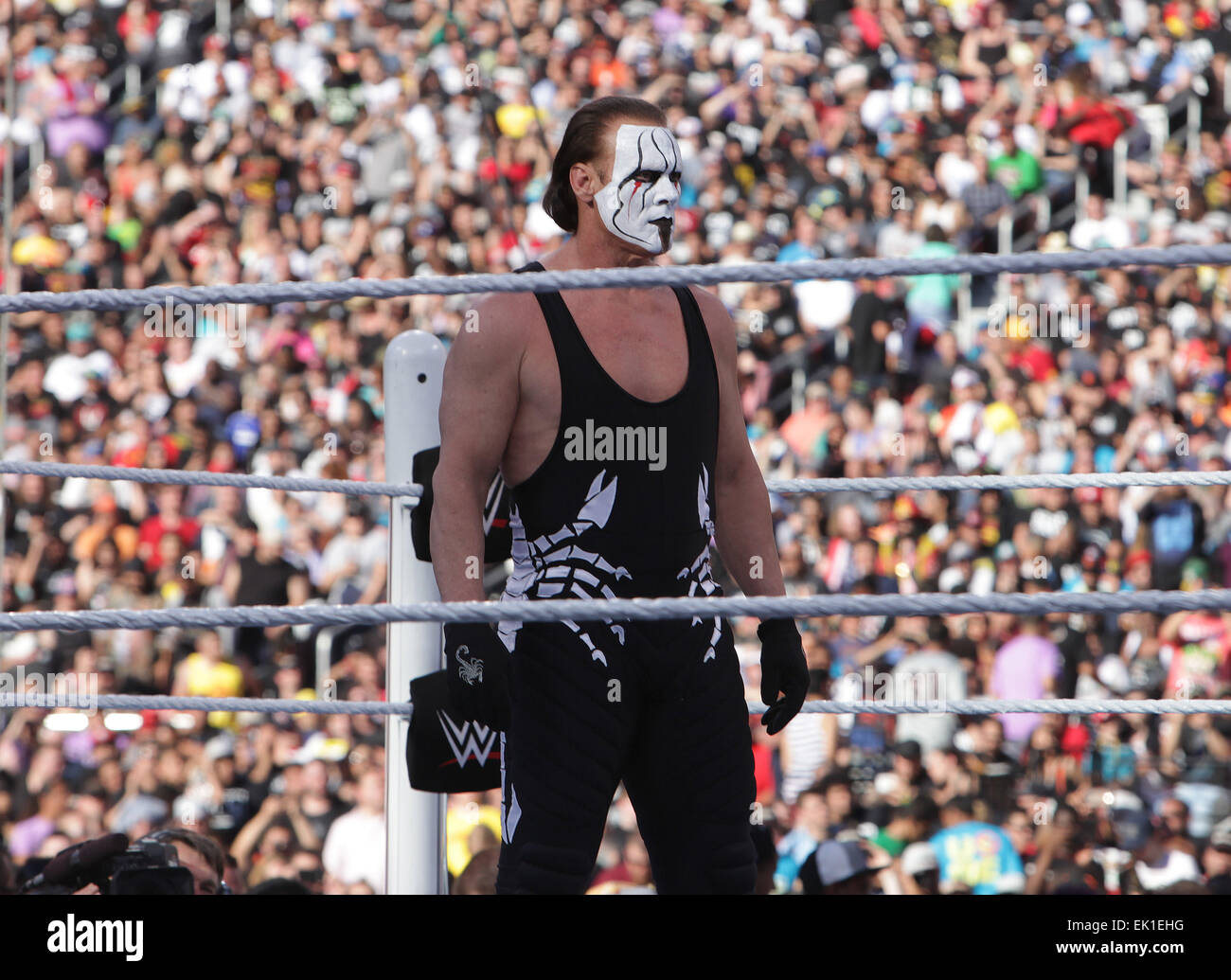 Santa Clara, California, USA. 29th Mar, 2015. Sting during WWE ...