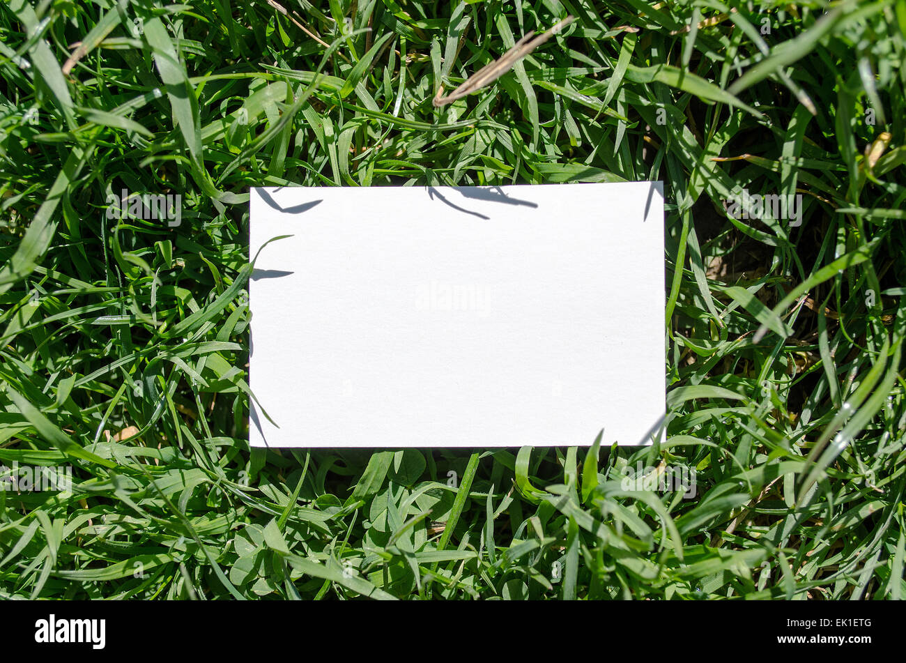 Blank Note Book on Fresh Green Grass Background with Place for Concept ...