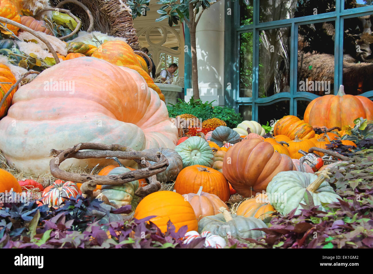 LAS VEGAS, NEVADA, USA - OCTOBER 21, 2013 : Autumn theme in a ...