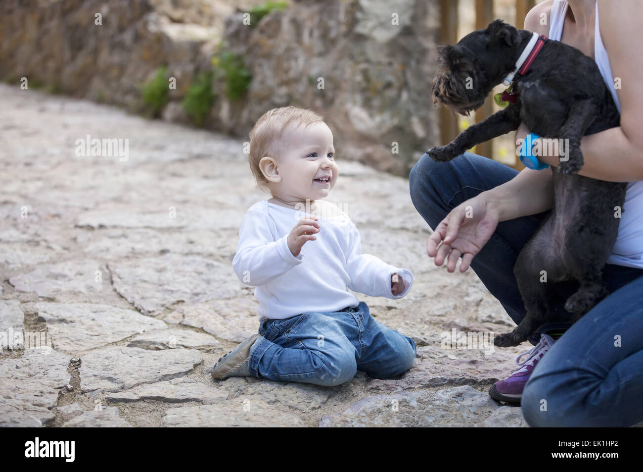 Cheerful little boy looking at dog in mother's hands Stock Photo - Alamy