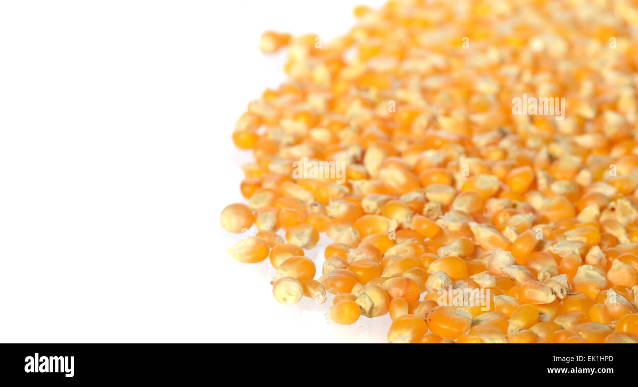 Dried corn used for making popcorn Stock Photo - Alamy