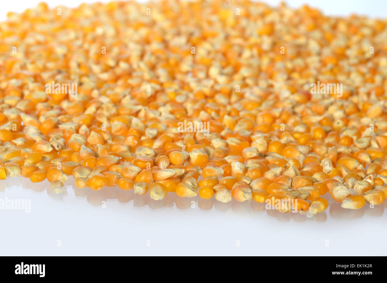 Dried corn used for making popcorn Stock Photo - Alamy