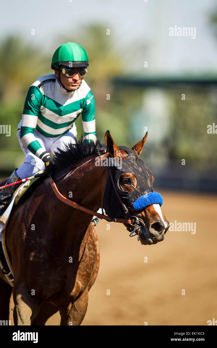 Arcadia, CA, USA. 4th Apr, 2015. April 04 2015: One Lucky Dane with ...