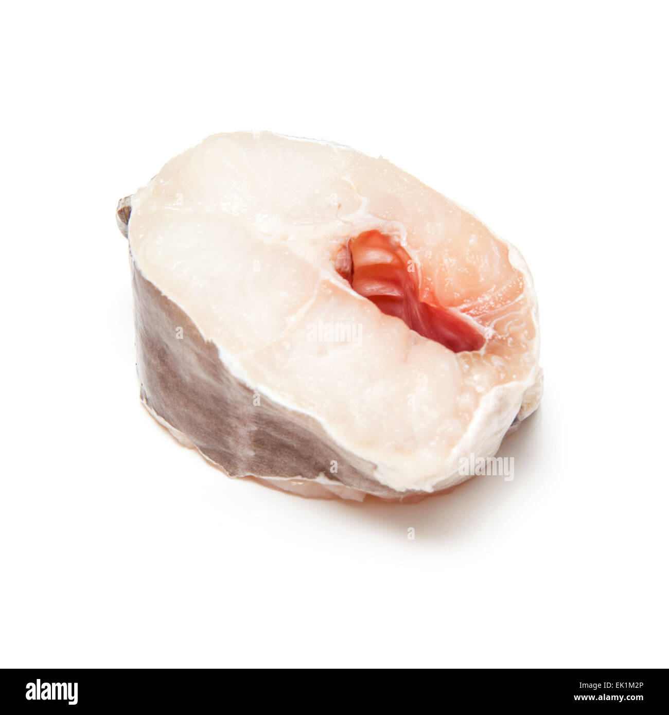 European conger (Conger conger) fish steaks isolated on a white studio ...