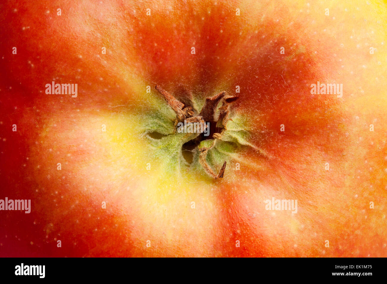 One apple closeup hi-res stock photography and images - Alamy
