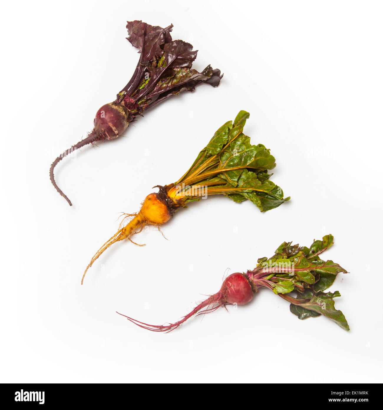 Root Vegetable Yellow Beets High Resolution Stock Photography and ...