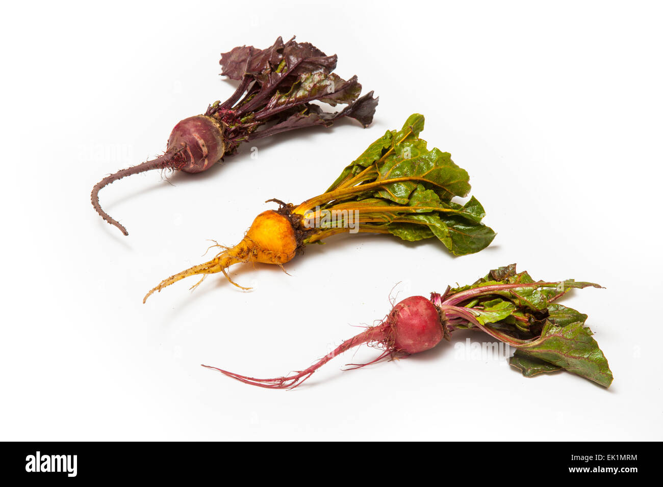 Yellow pink and traditional purple Beetroot isolated on a white studio ...
