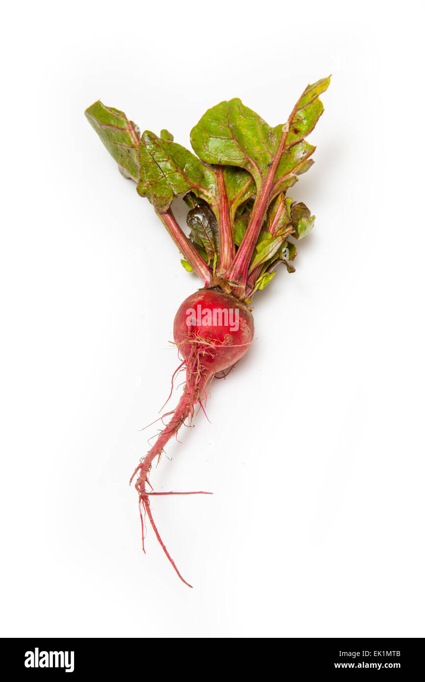 Pink beetroot isolated on a white studio background Stock Photo - Alamy