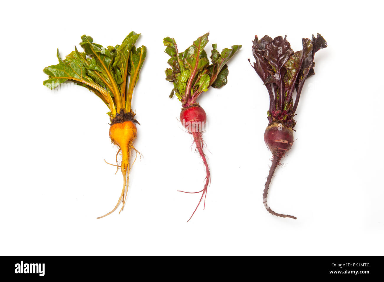 Yellow pink and traditional purple Beetroot isolated on a white studio ...