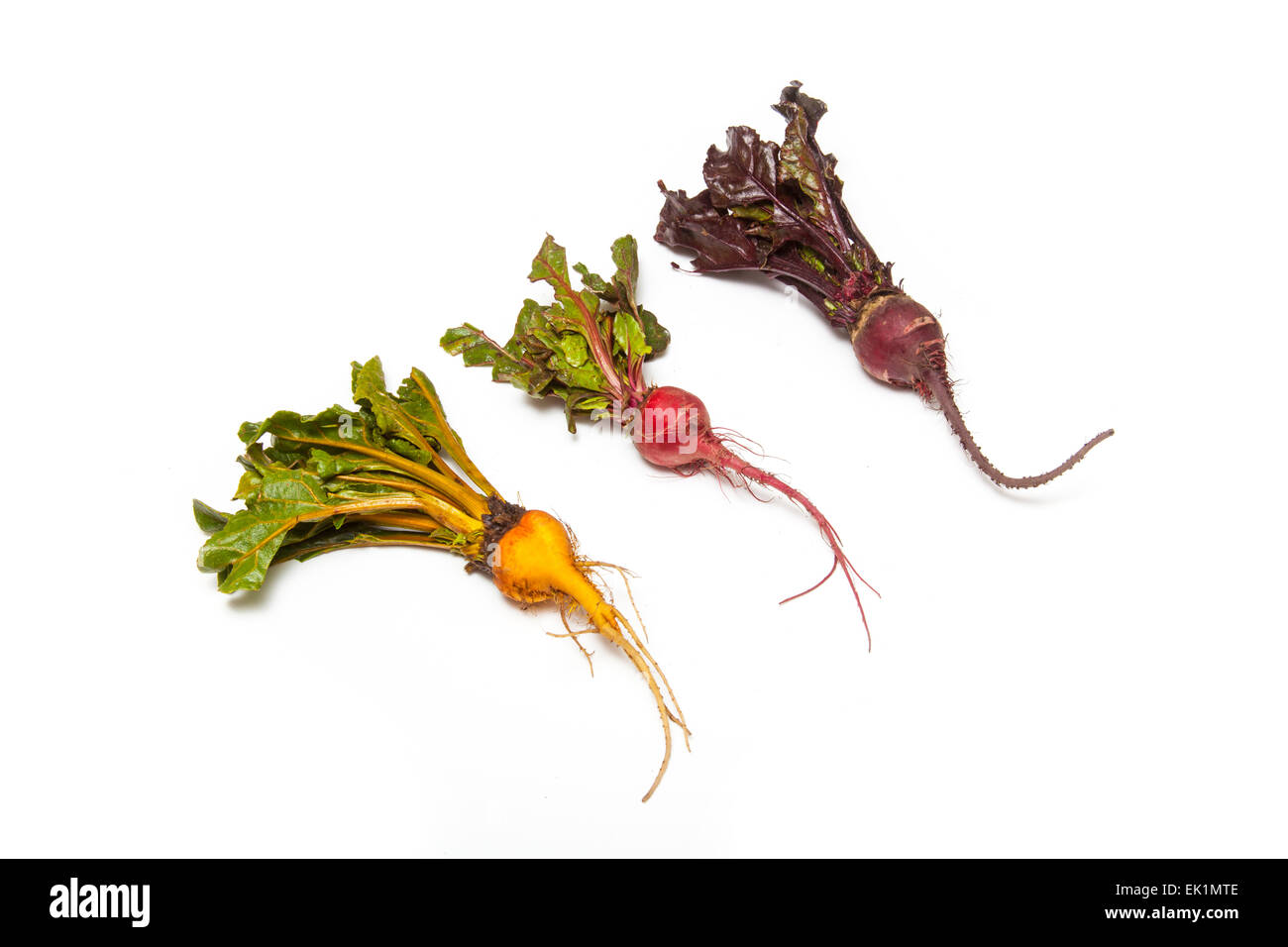 Yellow pink and traditional purple Beetroot isolated on a white studio ...