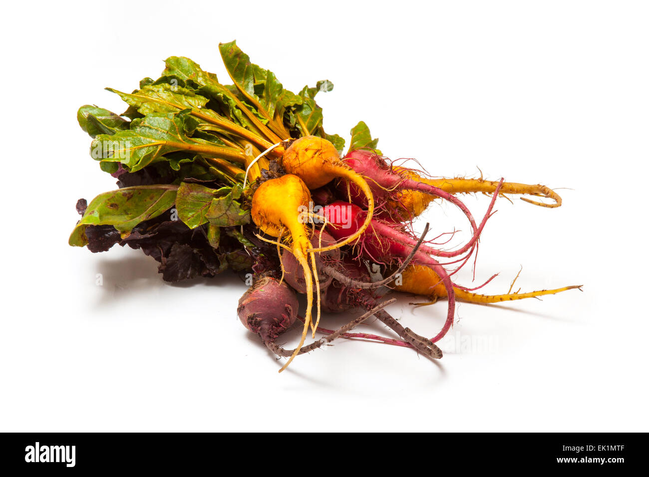 Yellow pink and traditional purple Beetroot isolated on a white studio ...