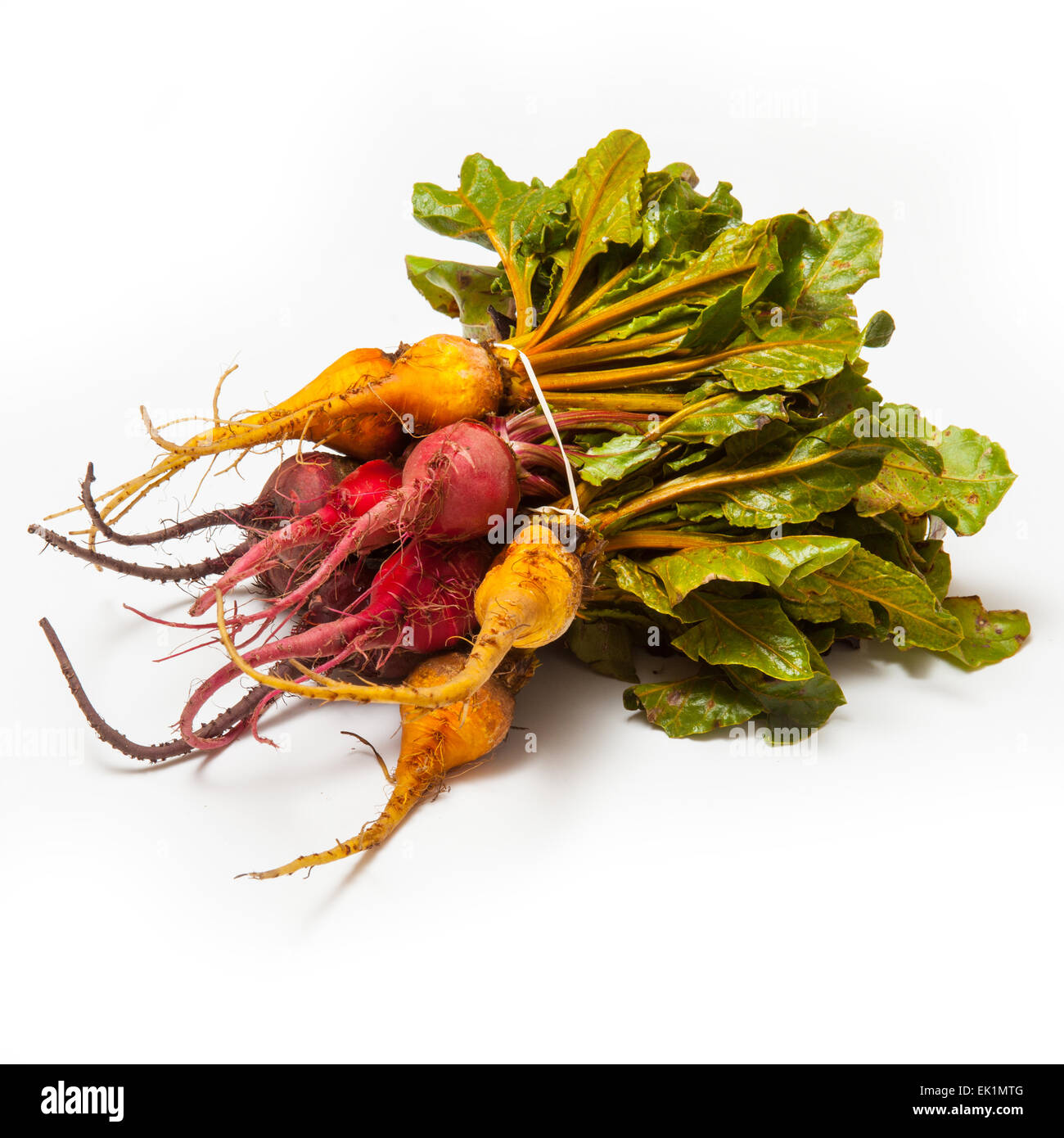 Yellow pink and traditional purple Beetroot isolated on a white studio ...