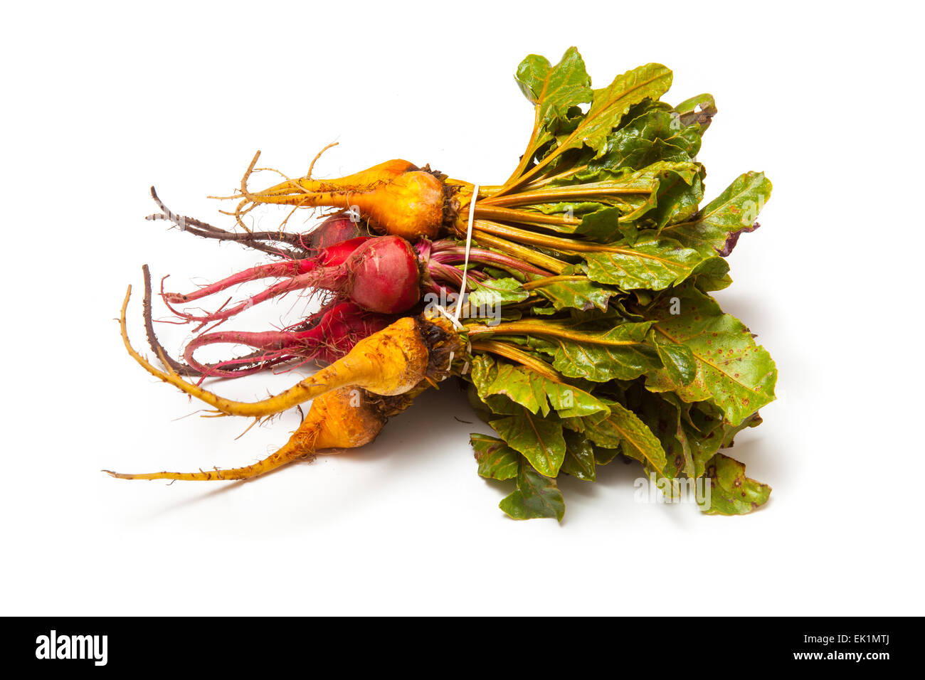 Yellow pink and traditional purple Beetroot isolated on a white studio ...
