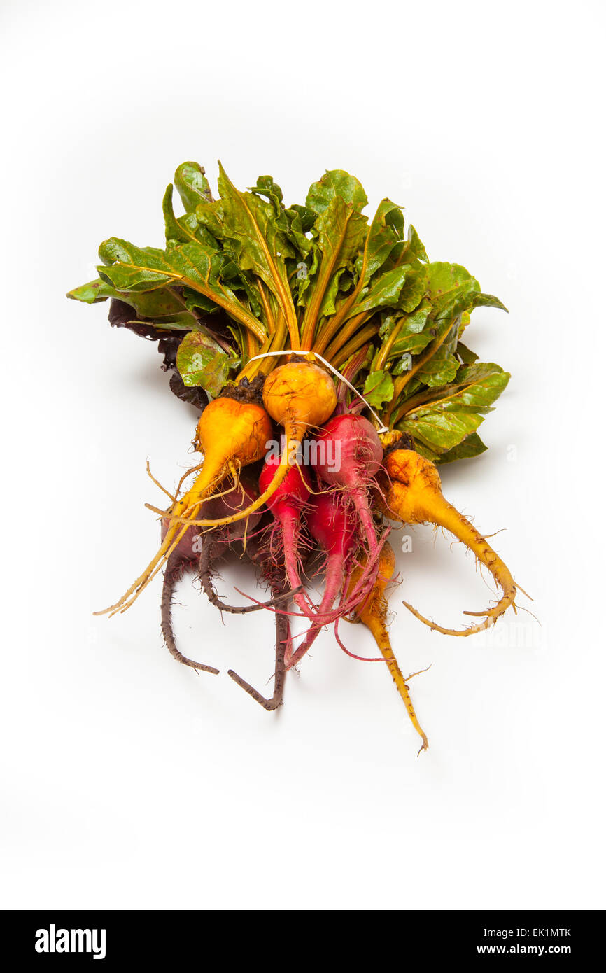 Yellow pink and traditional purple Beetroot isolated on a white studio ...