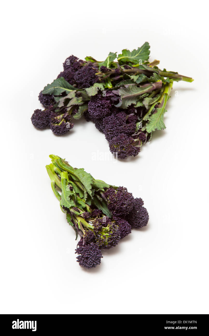 Purple sprouting broccoli isolated on a white studio background Stock ...