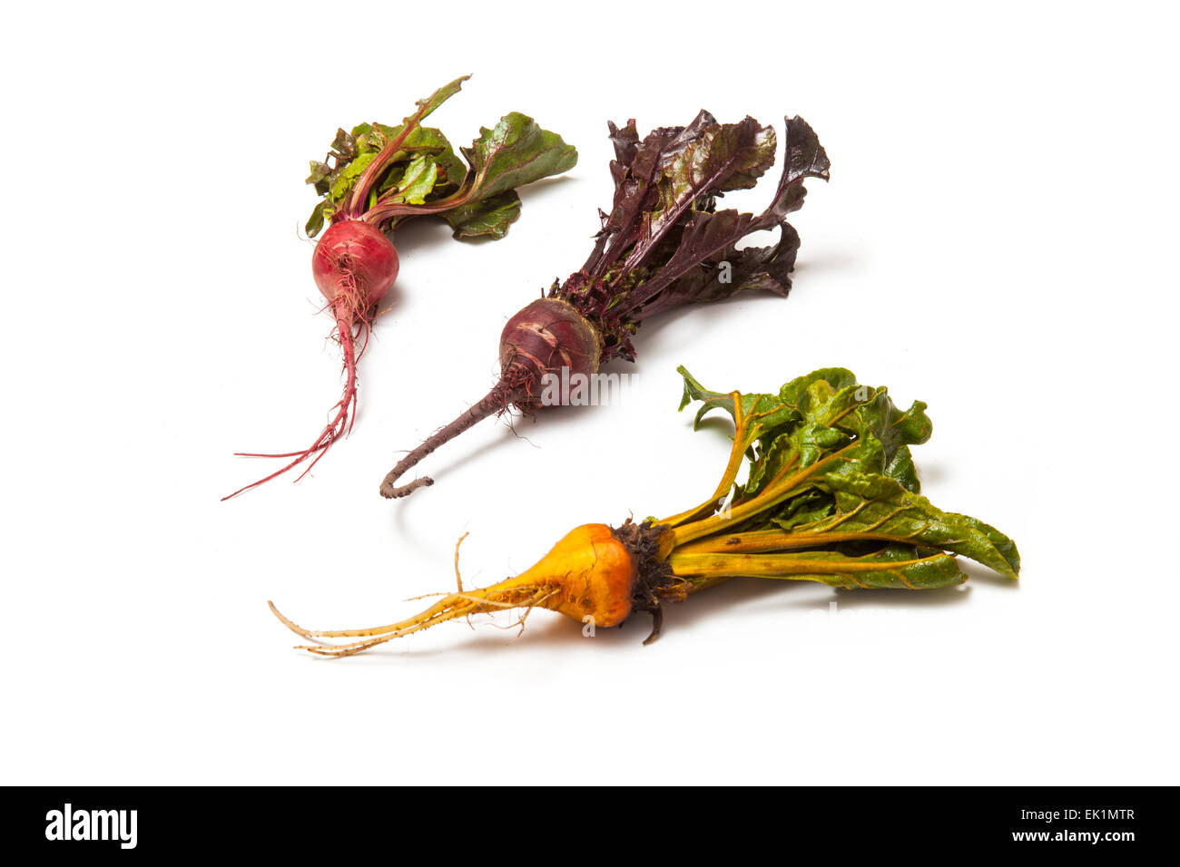 Yellow pink and traditional purple Beetroot isolated on a white studio ...