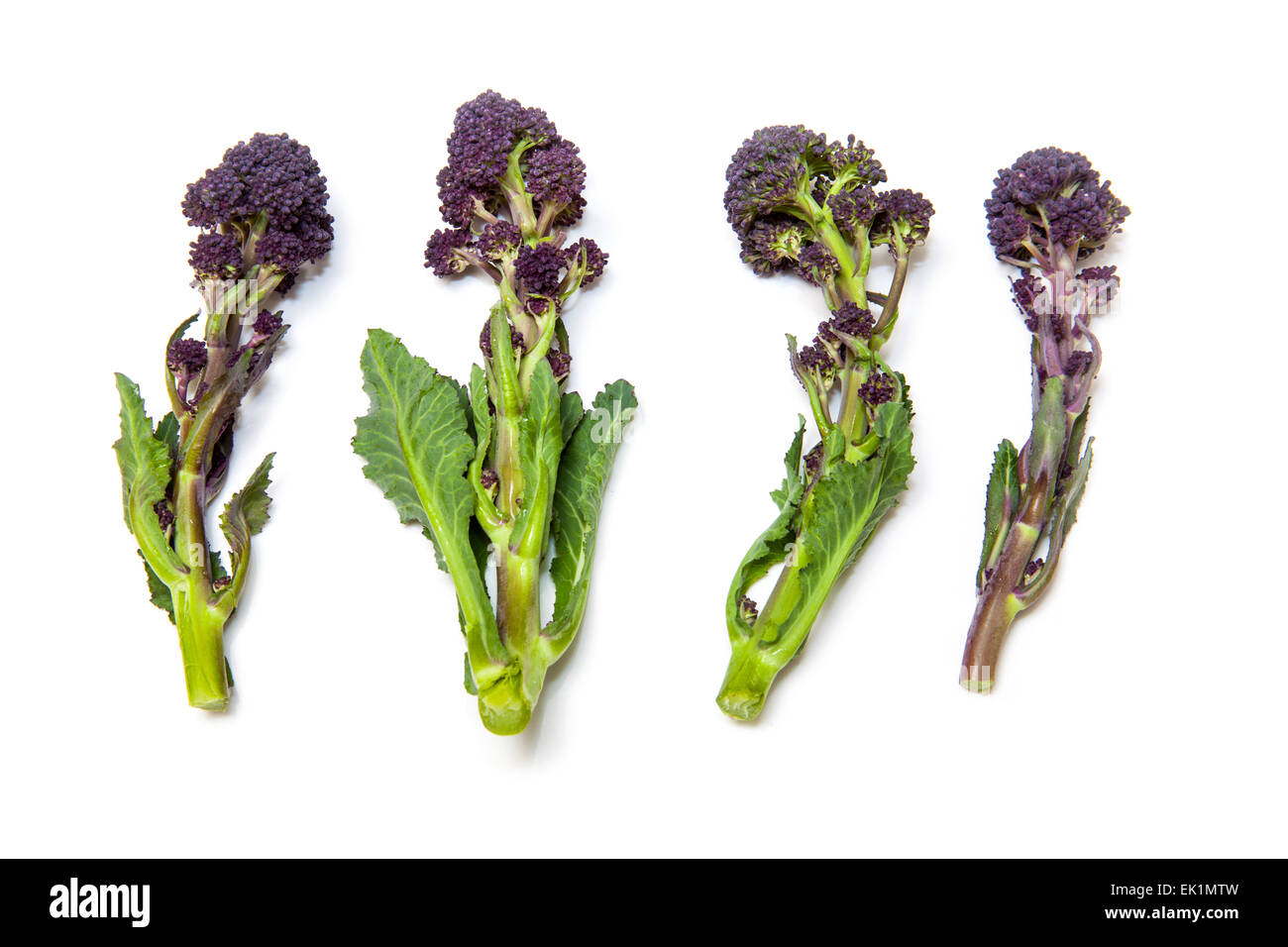 Purple sprouting broccoli hi-res stock photography and images - Alamy
