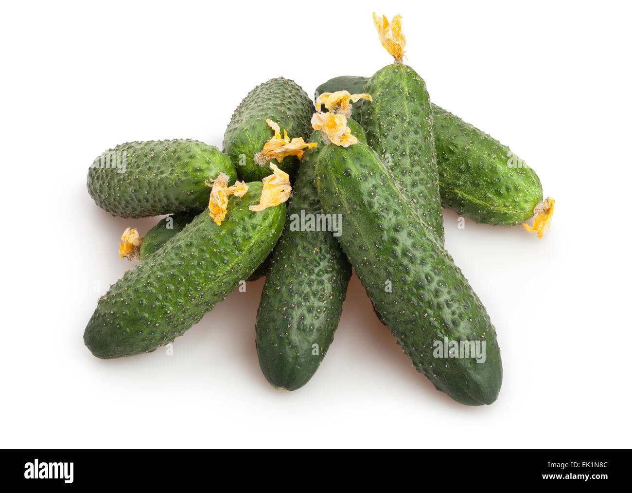 Cucumber bloom hi-res stock photography and images - Alamy