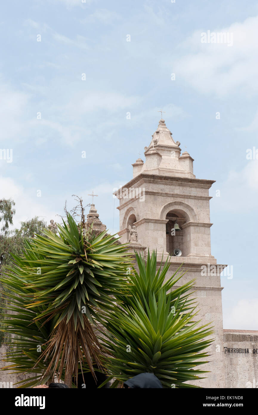 Peruvian trees hi-res stock photography and images - Alamy
