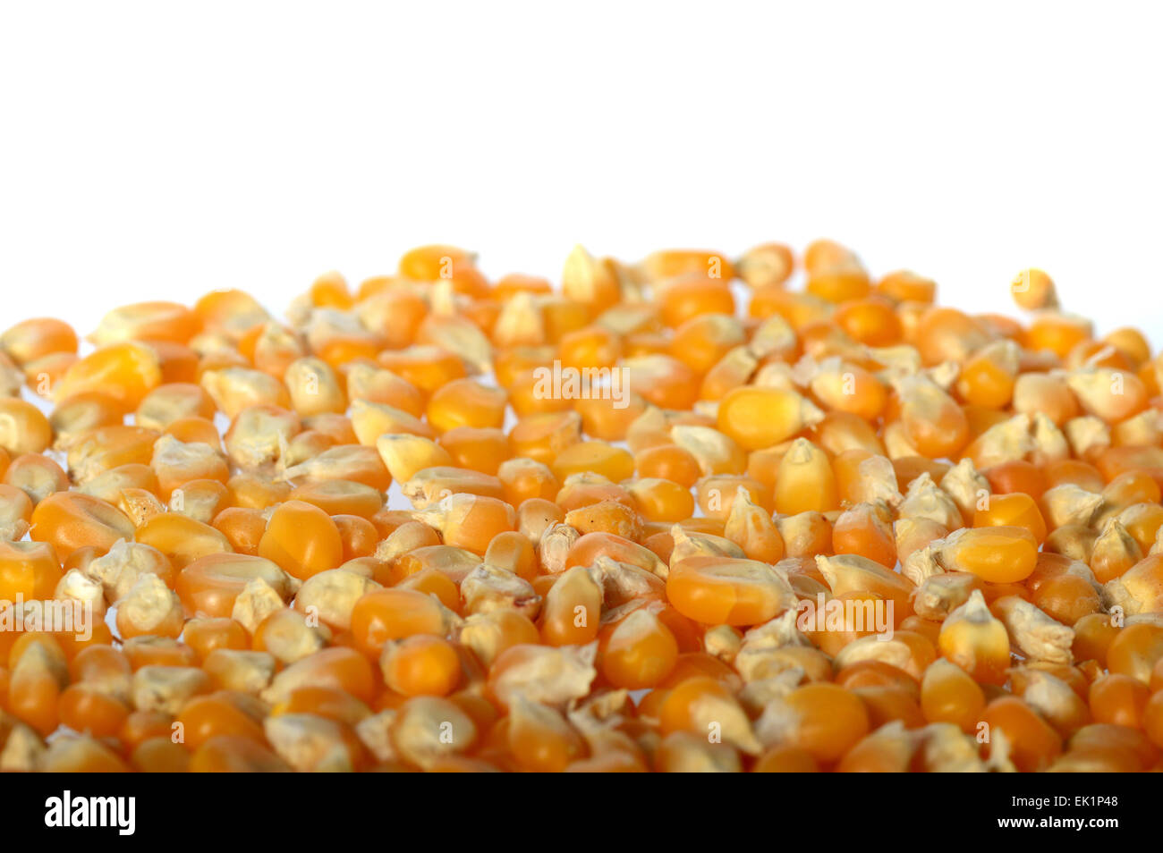 Dried corn used for making popcorn Stock Photo - Alamy