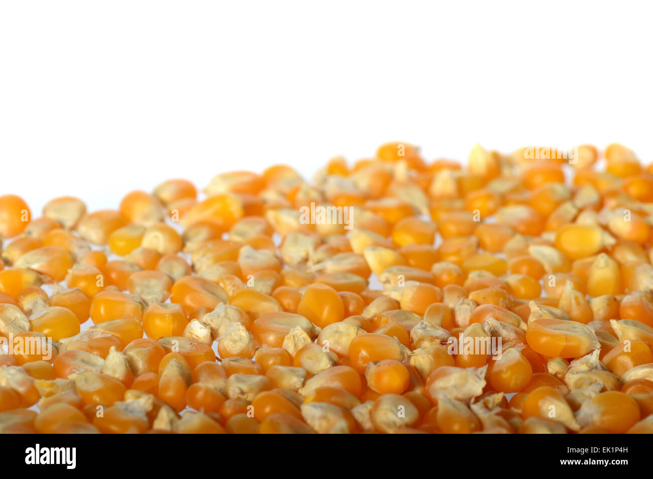 Dried corn used for making popcorn Stock Photo - Alamy