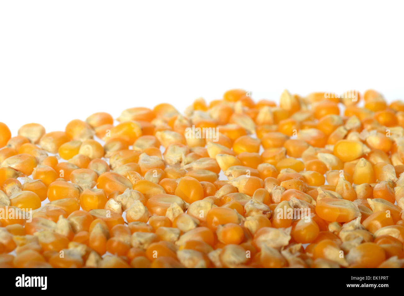 Dried corn used for making popcorn Stock Photo - Alamy
