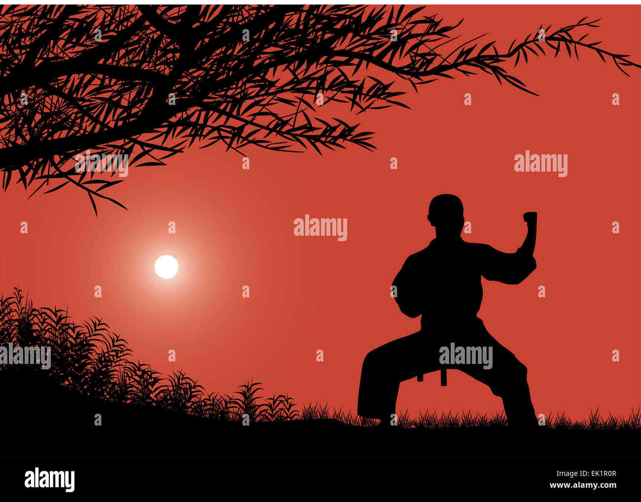 The man is engaged in karate against the sun Stock Photo - Alamy