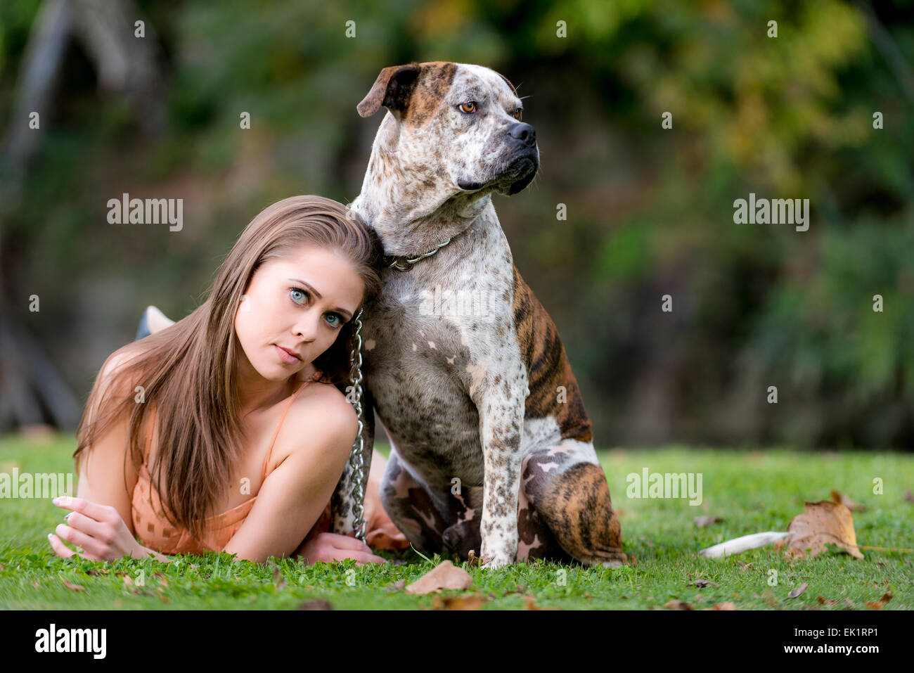 Cute young female poses with dog, late afternoon in the park Stock ...