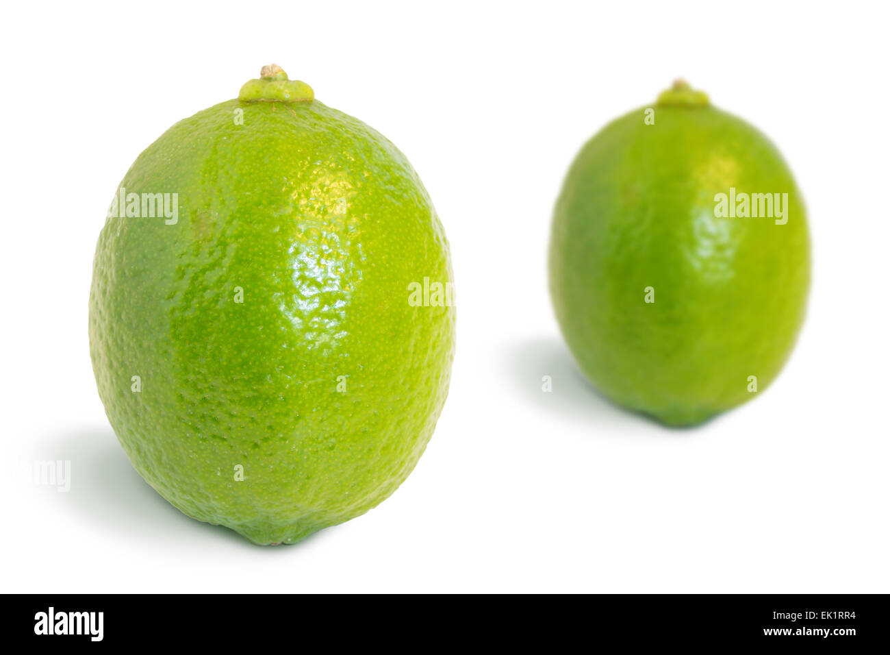 Closeup of two whole ripe lime fruits, isolated on white background ...