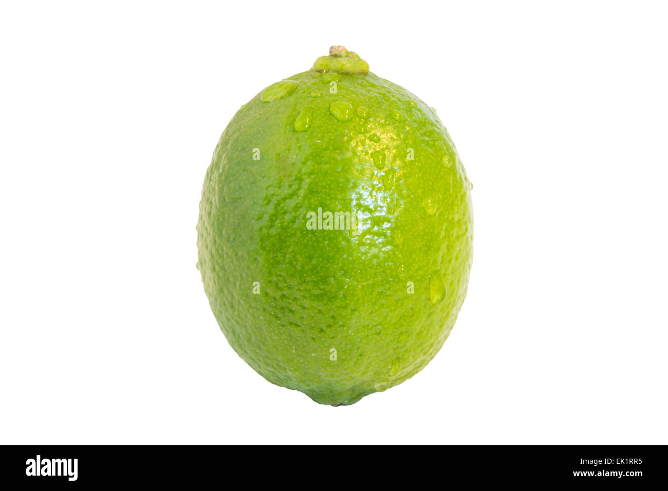Closeup of one whole ripe lime fruit with waterdrops, isolated on white ...