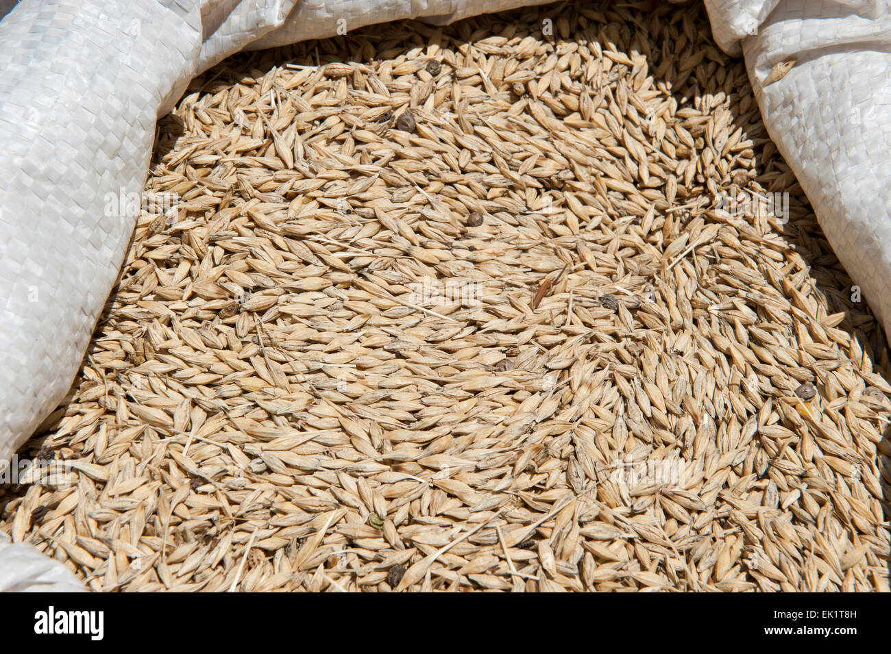 Seed cereal hi-res stock photography and images - Alamy