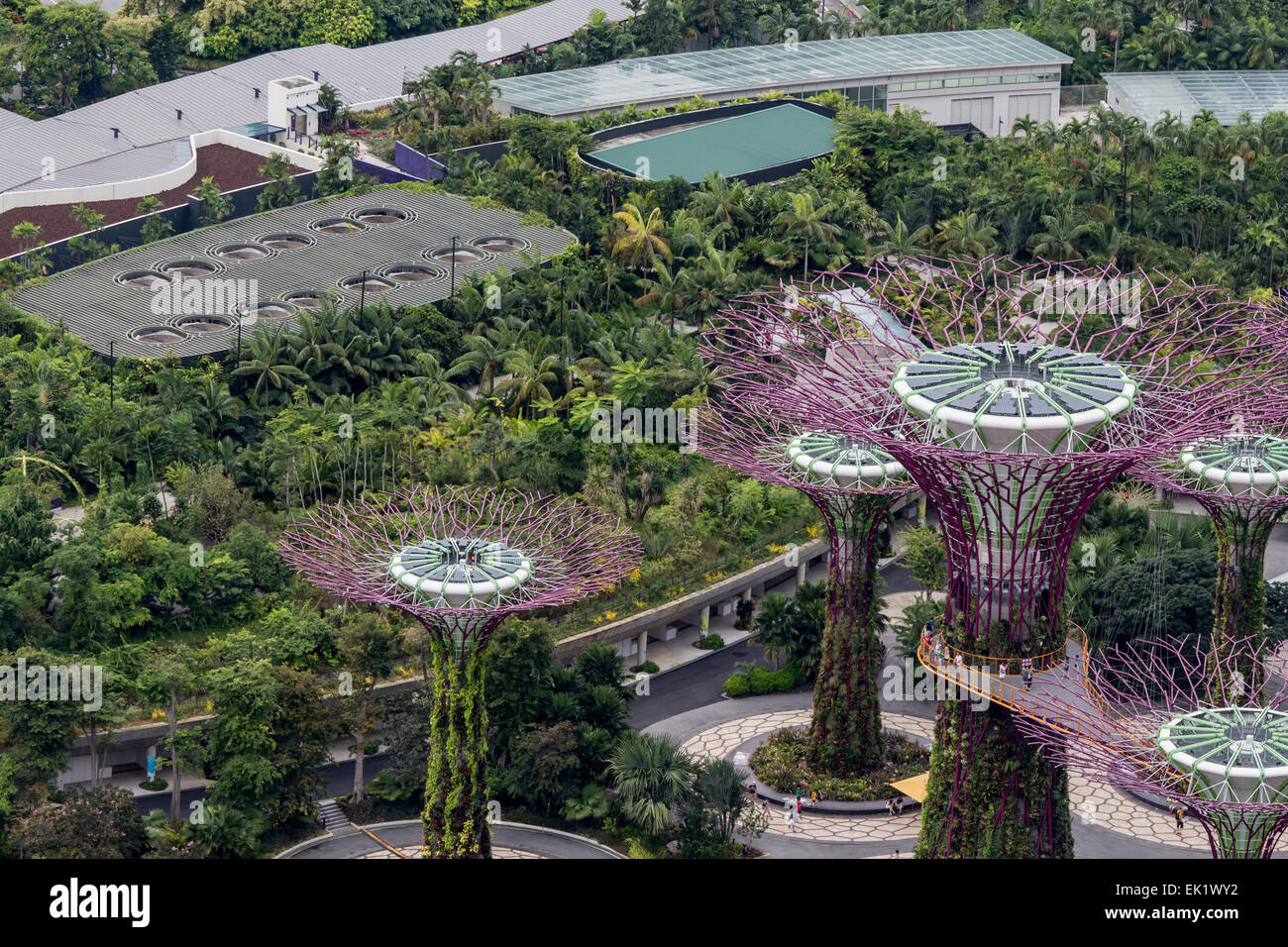 Singapore plant architecture hi-res stock photography and images - Alamy