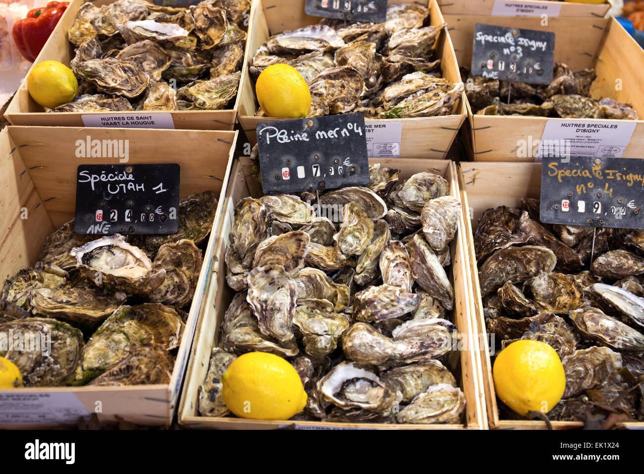Seafood market stall at Trouville Sur Mer, Northern France, Europe ...